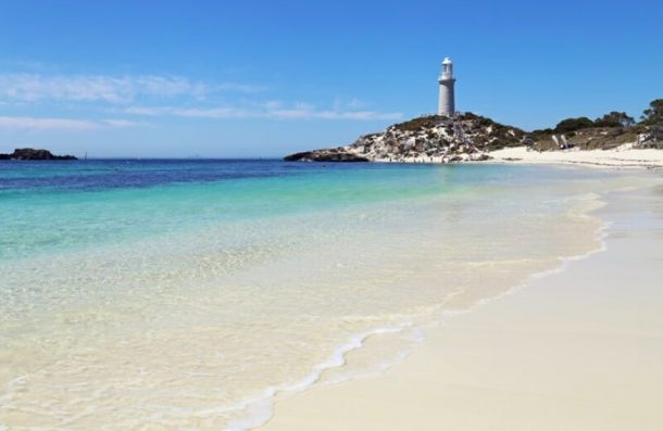 A Perfect Day Trip to Rottnest Island - Carry On Queen