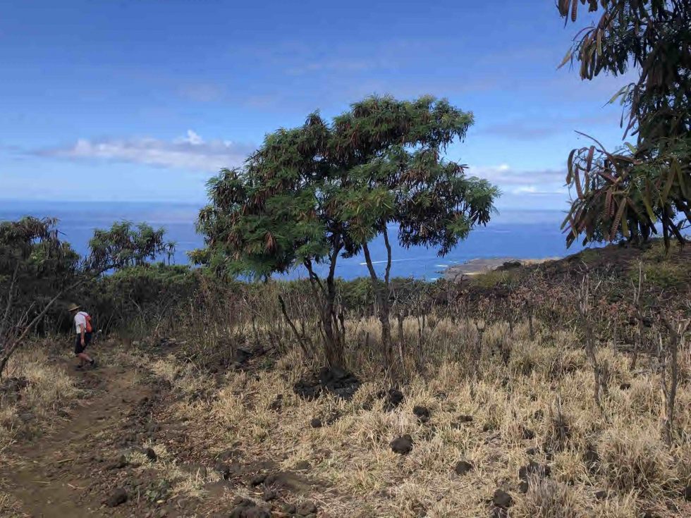 Snorkeling Kealakekua Bay & Visiting the Captain Cook Monument: A ...