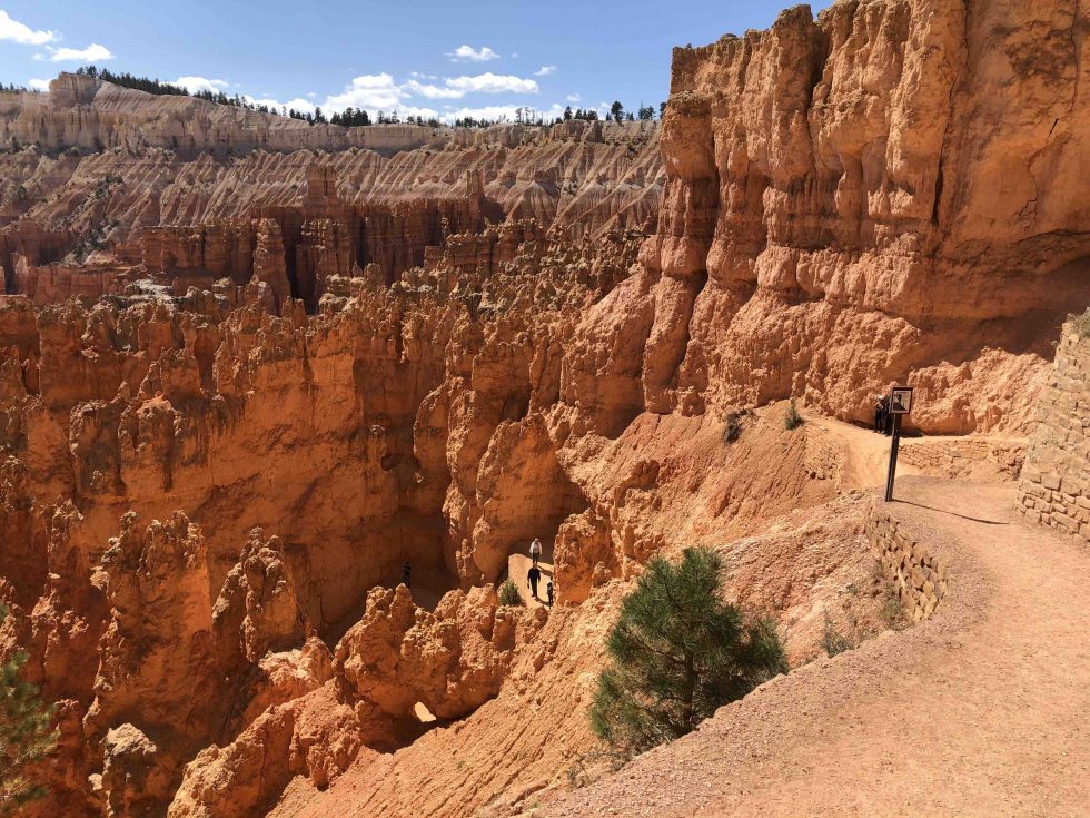 Bryce Canyon in One Day: Hikes and Sites Not to Miss - Carry On Queen