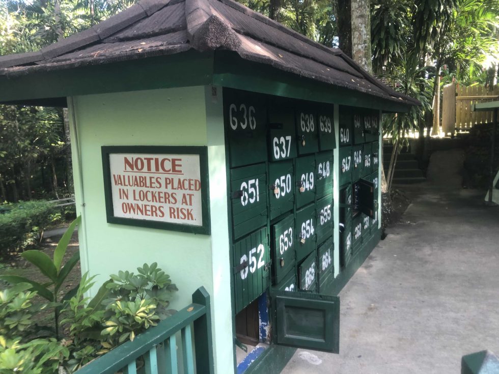 Dunn's River Falls: 10 tips for how to avoid the crowds