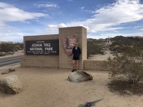 Spring in Joshua Tree: A Blooming Good Time to Visit - Carry On Queen