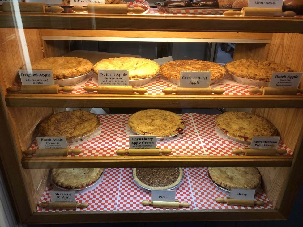 A Harley Davidson Road Trip Adventure out of San Diego - Carry On Queen